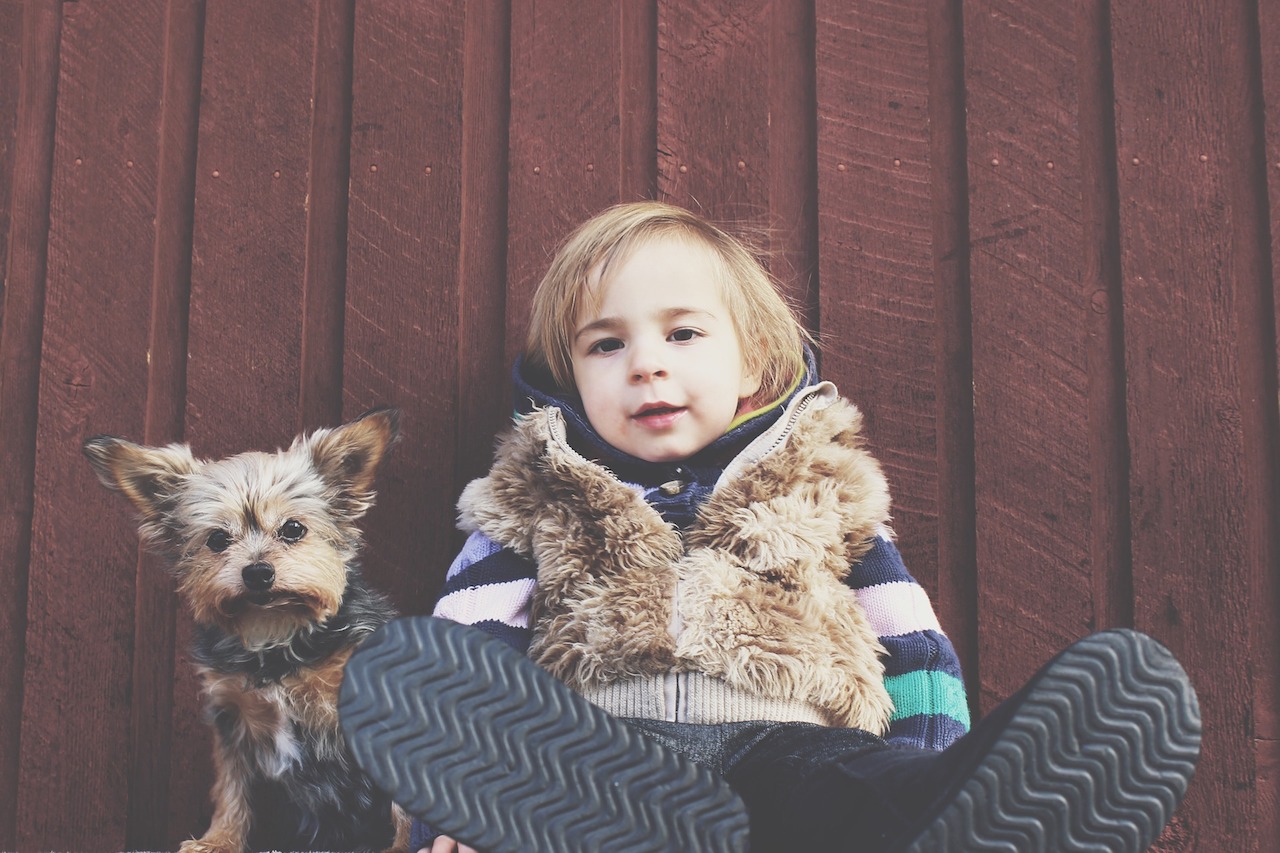 The 10 Best Dog Breeds for Kids - Best Kid Stuff