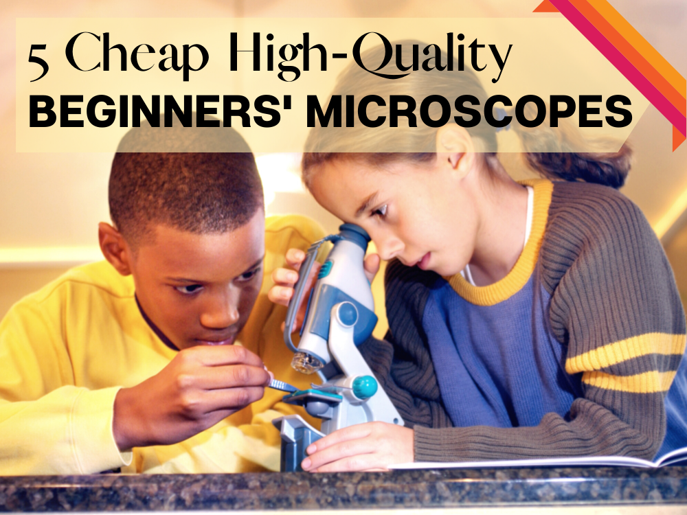 5 Cheap High-Quality Beginner's Microscopes - Best Kid Stuff